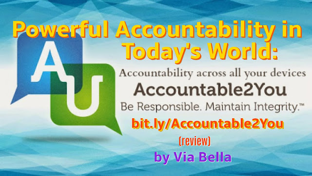 Via Bella: Powerful Accountability in Today's World: Accountable2You