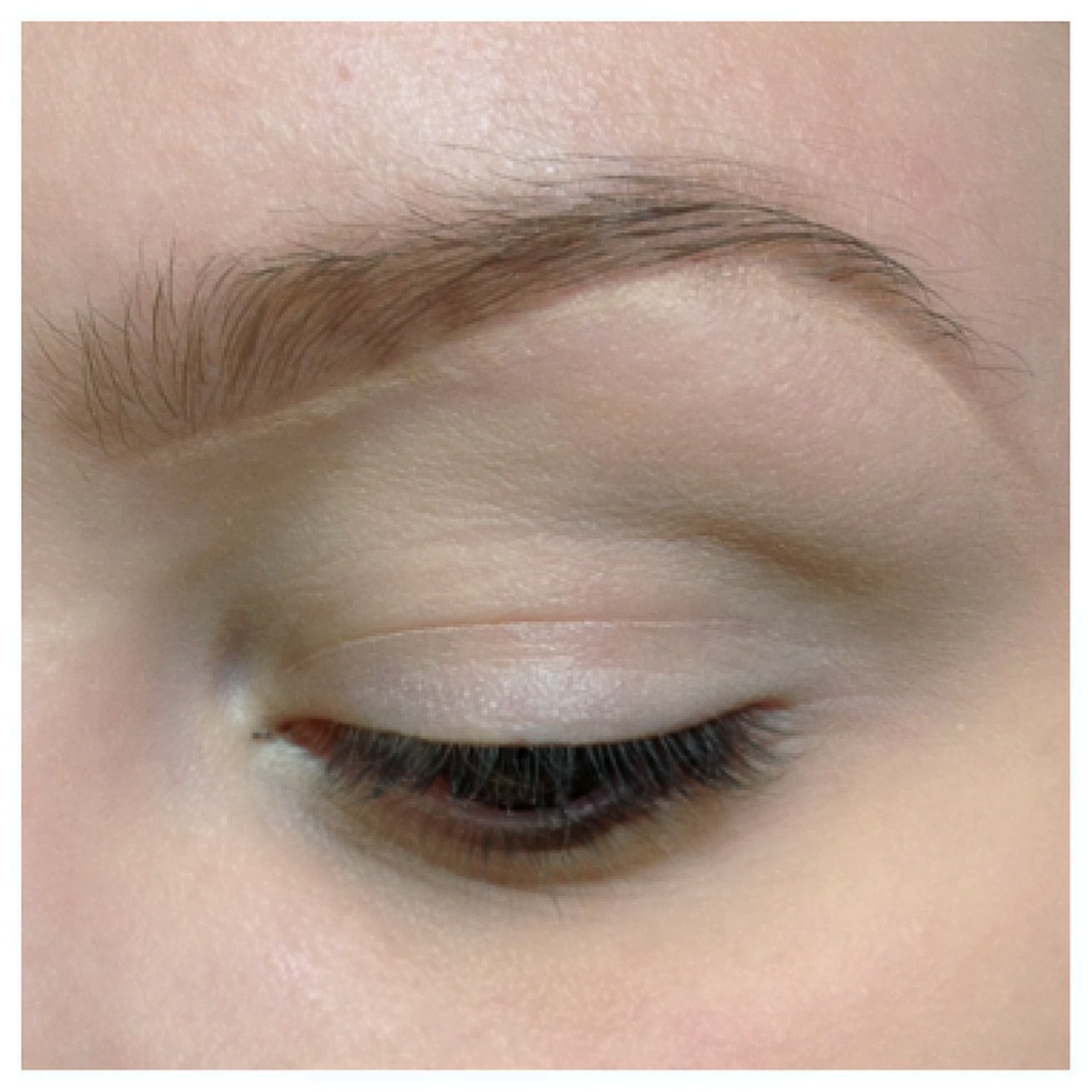 Aubrey Hannah: Eyebrow Tutorial