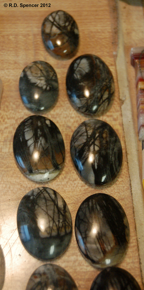 Eaglesbrother's Gourds and Art