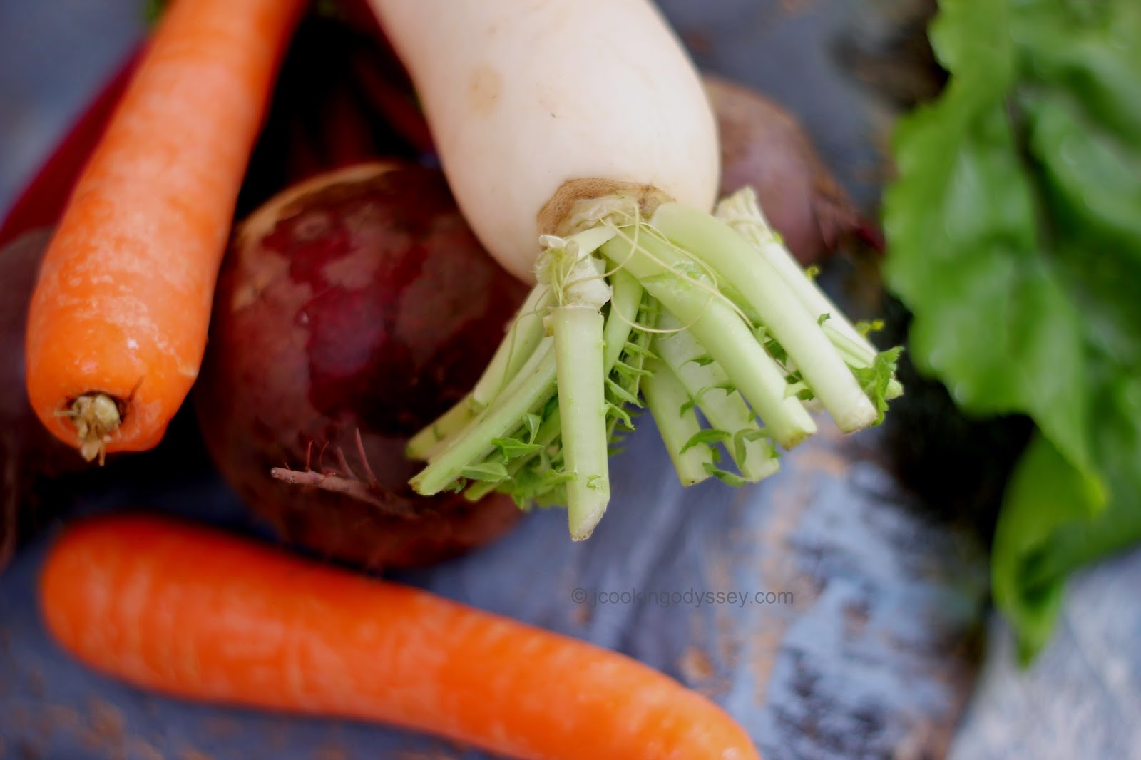 Beetroot, Carrot, white Radish & Mixed seed warm salad | J Cooking Odyssey