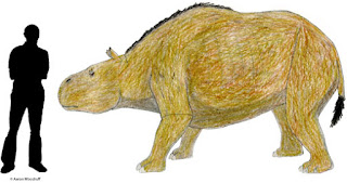 Toxodon - JungleKey.fr Image #250