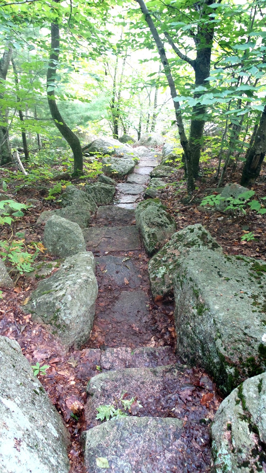 HIKING TRAILS OF ACADIA NATIONAL PARK: DORR MOUNTAIN LADDER TRAIL ...