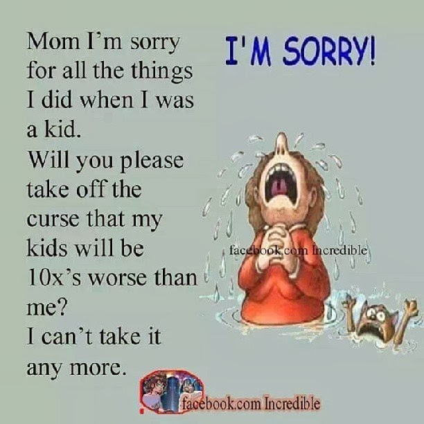 All That Spam Mom Im Sorry