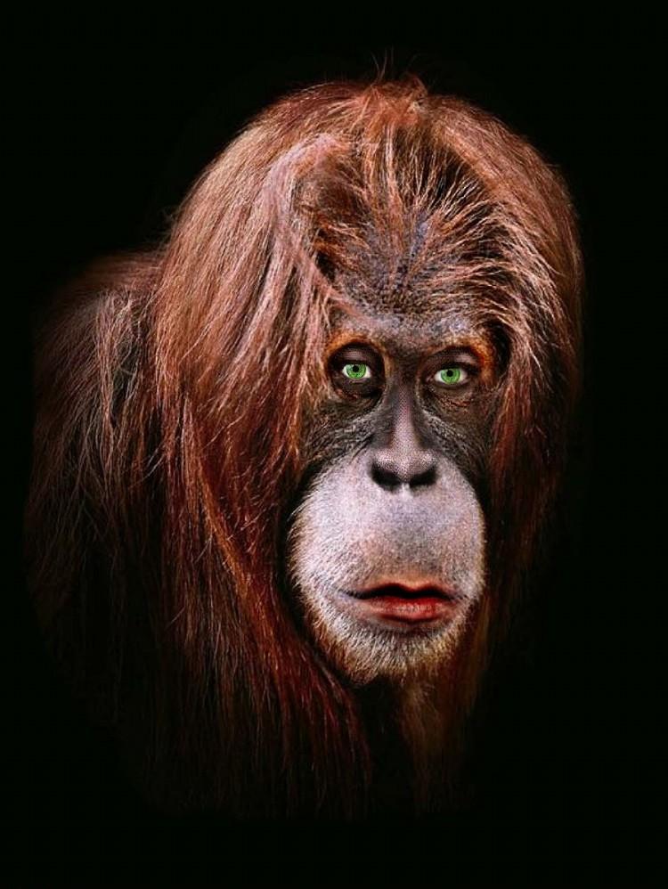 Amazing Pictures Of Human Faced With Animals ~ FunGur.BlogSpot.com
