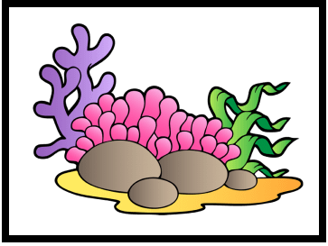 Ciencias Naturales: El reino protista