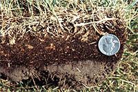 Northmoor Country Club Golf Course Operations: Why do you put sand on ...