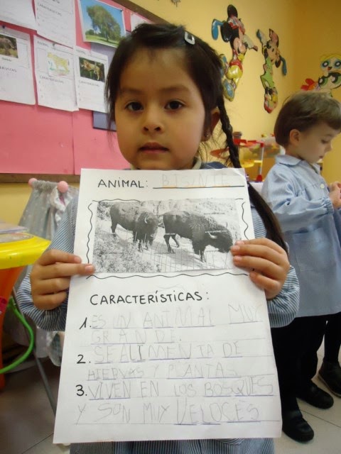 UNA VENTANA ABIERTA A NUESTRO MUNDO: Animales del Amazonas por 2º E