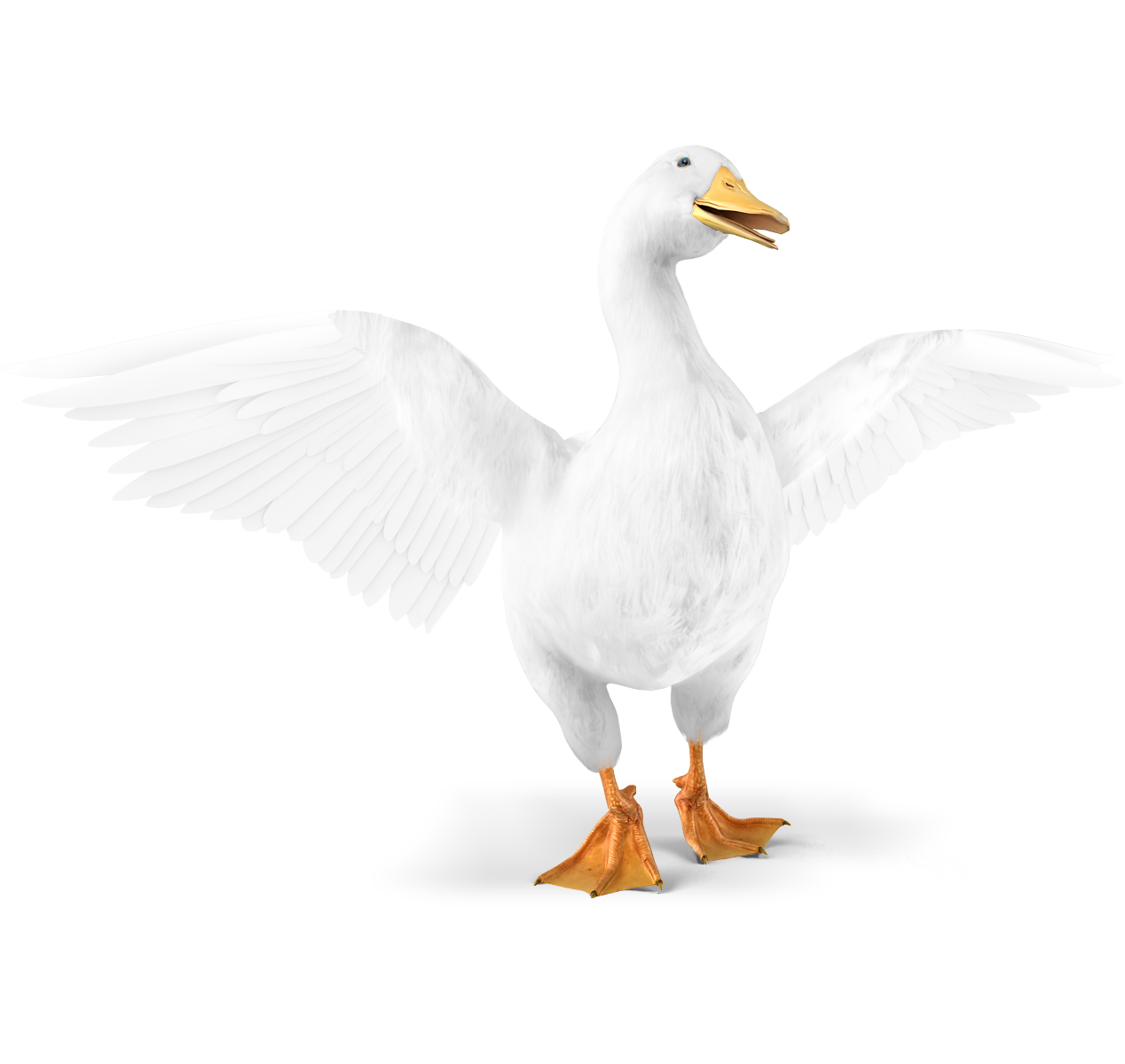 DAVID MARK DECHERD: Aflac Testimonial Video