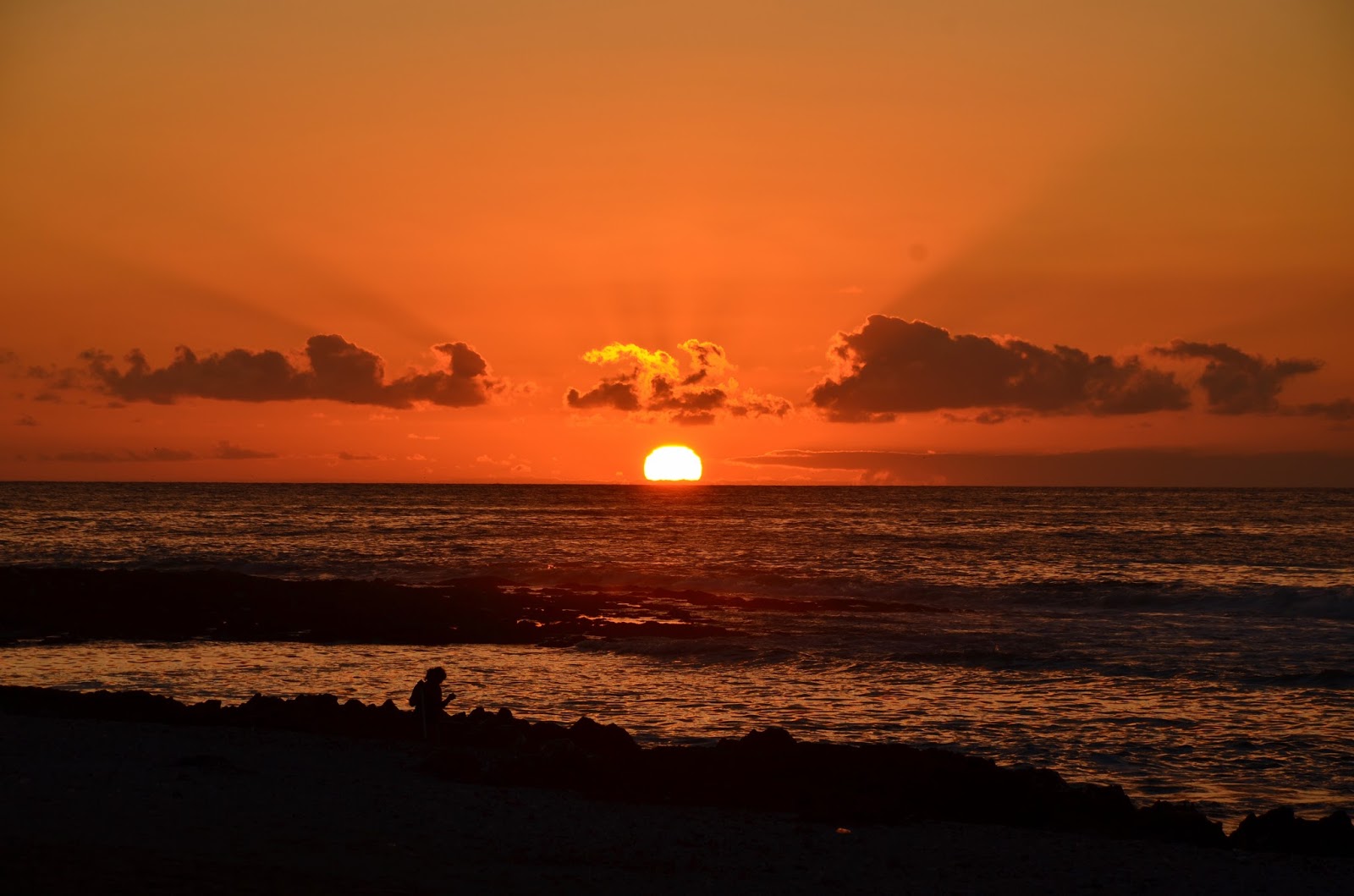 POESÍA Y TRANSICIONES: EN EL OCASO...