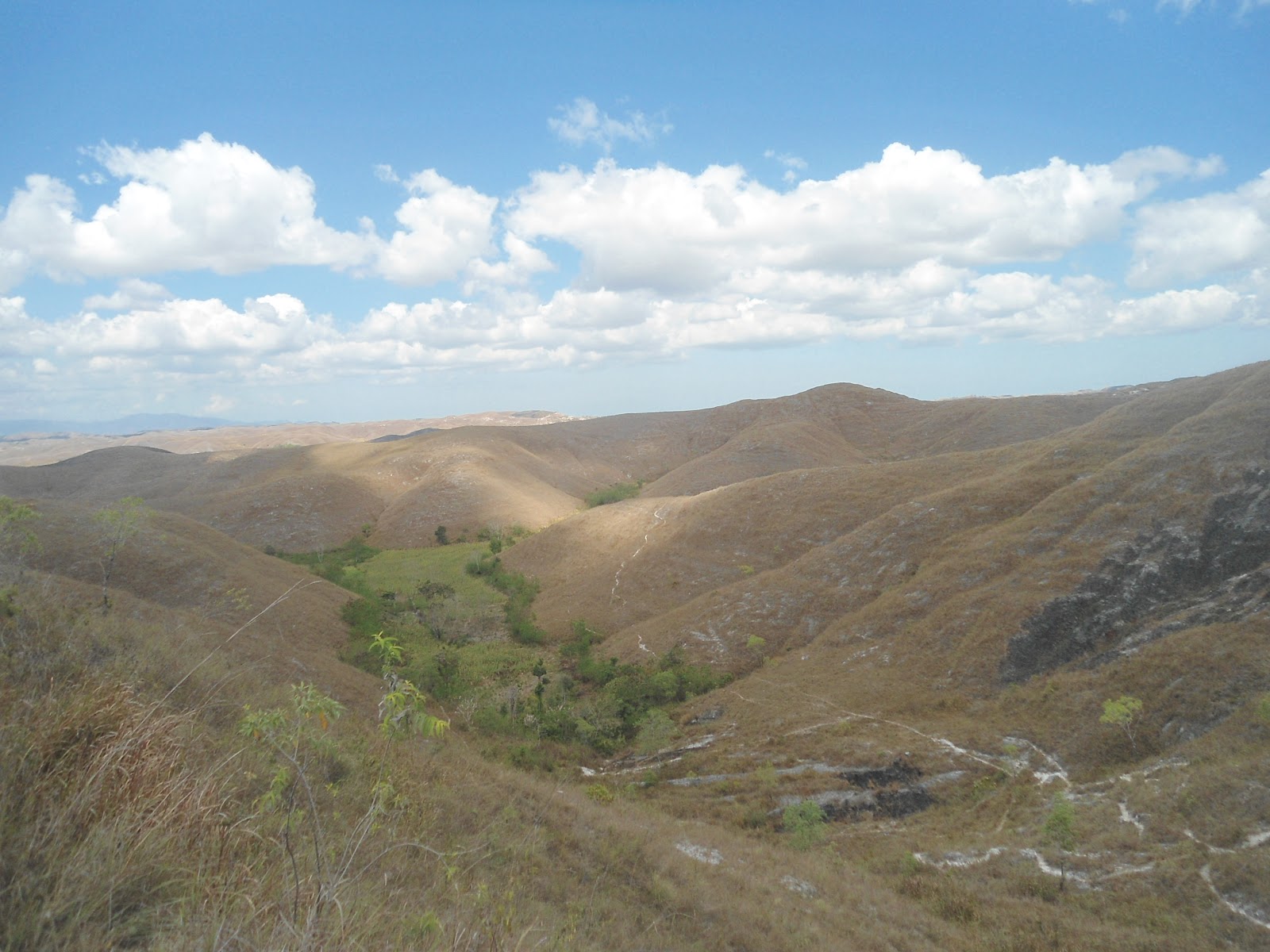 kabar dari Forum DAS (ForDAS) NTT