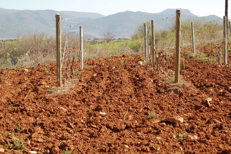 Ica: una maravilla por conocer!!!: Tipos de Suelos