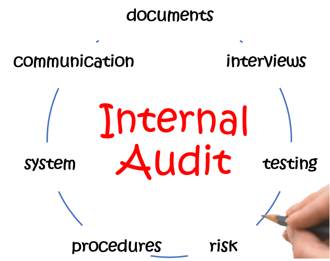 Audit Assignment: Internal Audit