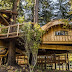 Microsoft constructed a new tree house meeting spaces for their employees 🔥