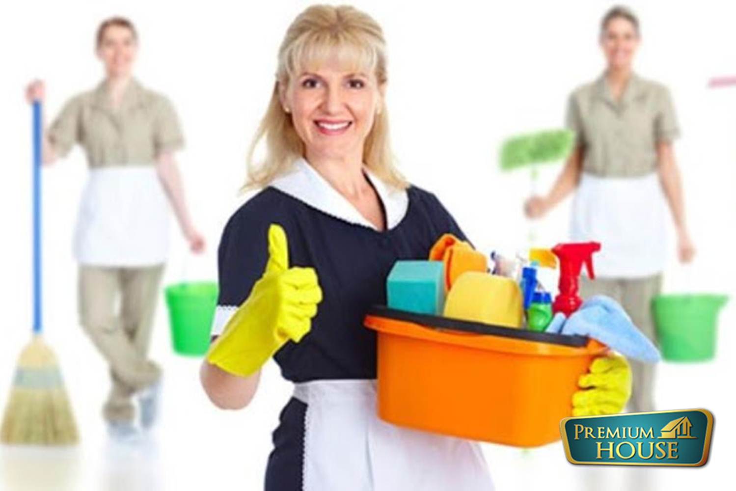 Premium House: What is Household Assistant?