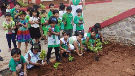 JM , escucha , listen , écoute...: Go green, stay green, plant more ...