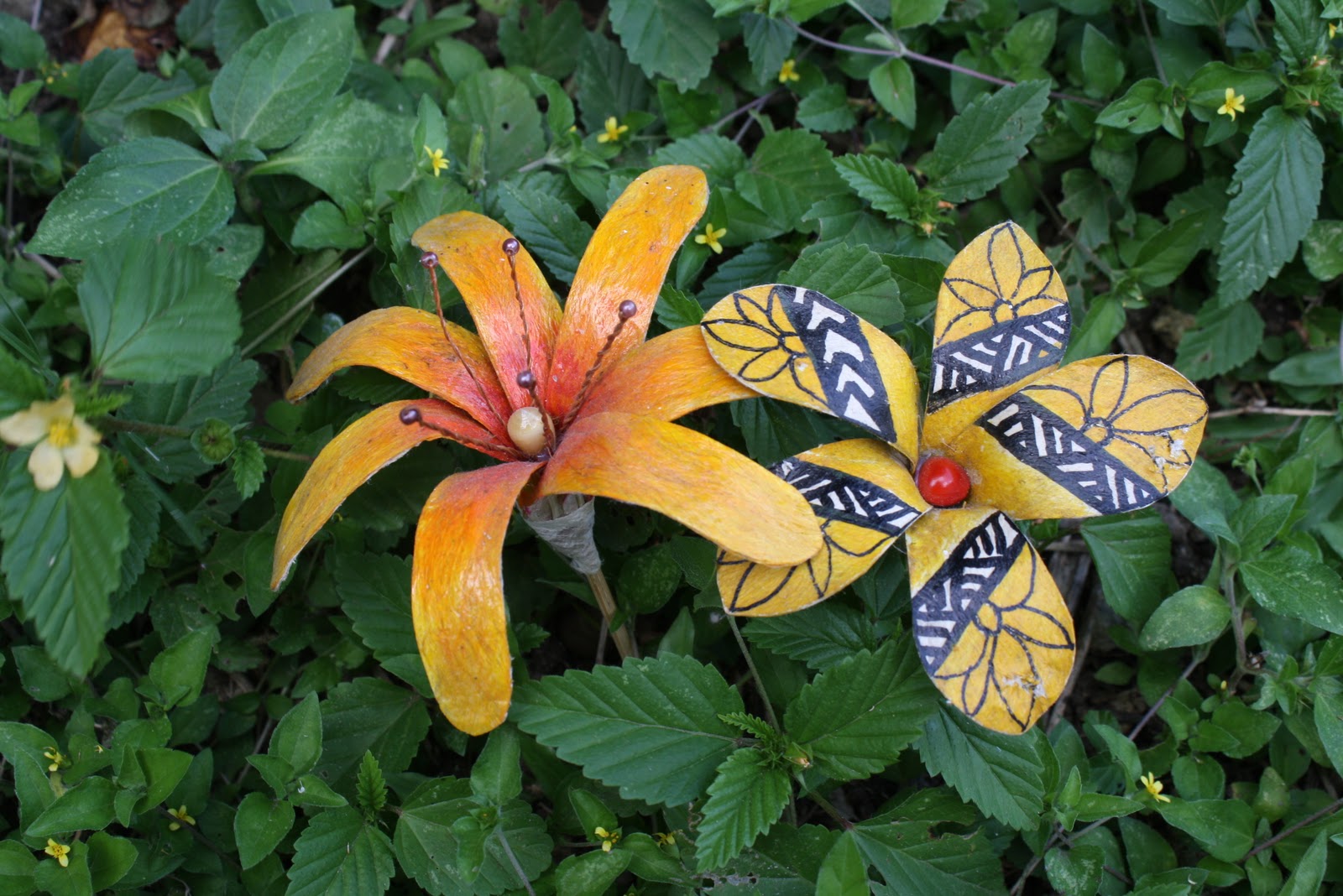 Melissa's Adventures in Tonga: Ten Things I've Loved About Tonga