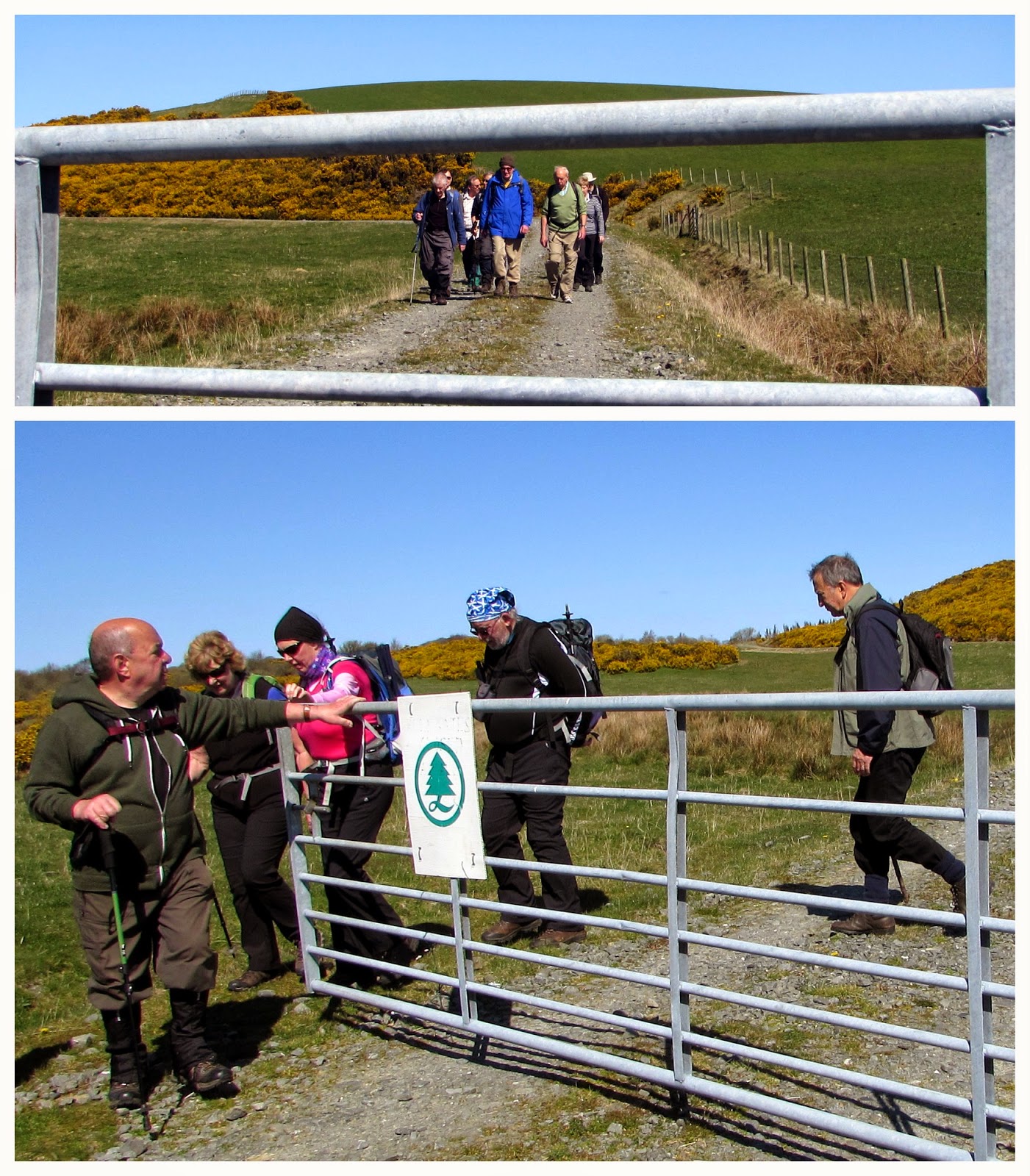 The Glebe Blog: Wigtownshire Ramblers Torhouse Stone Circle to the ...