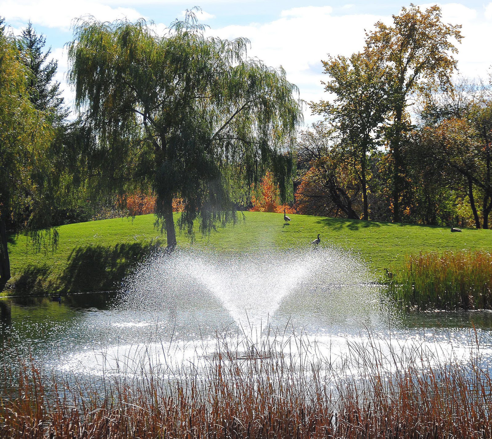 Camera on King & Aurora : Kingbridge Conference Centre