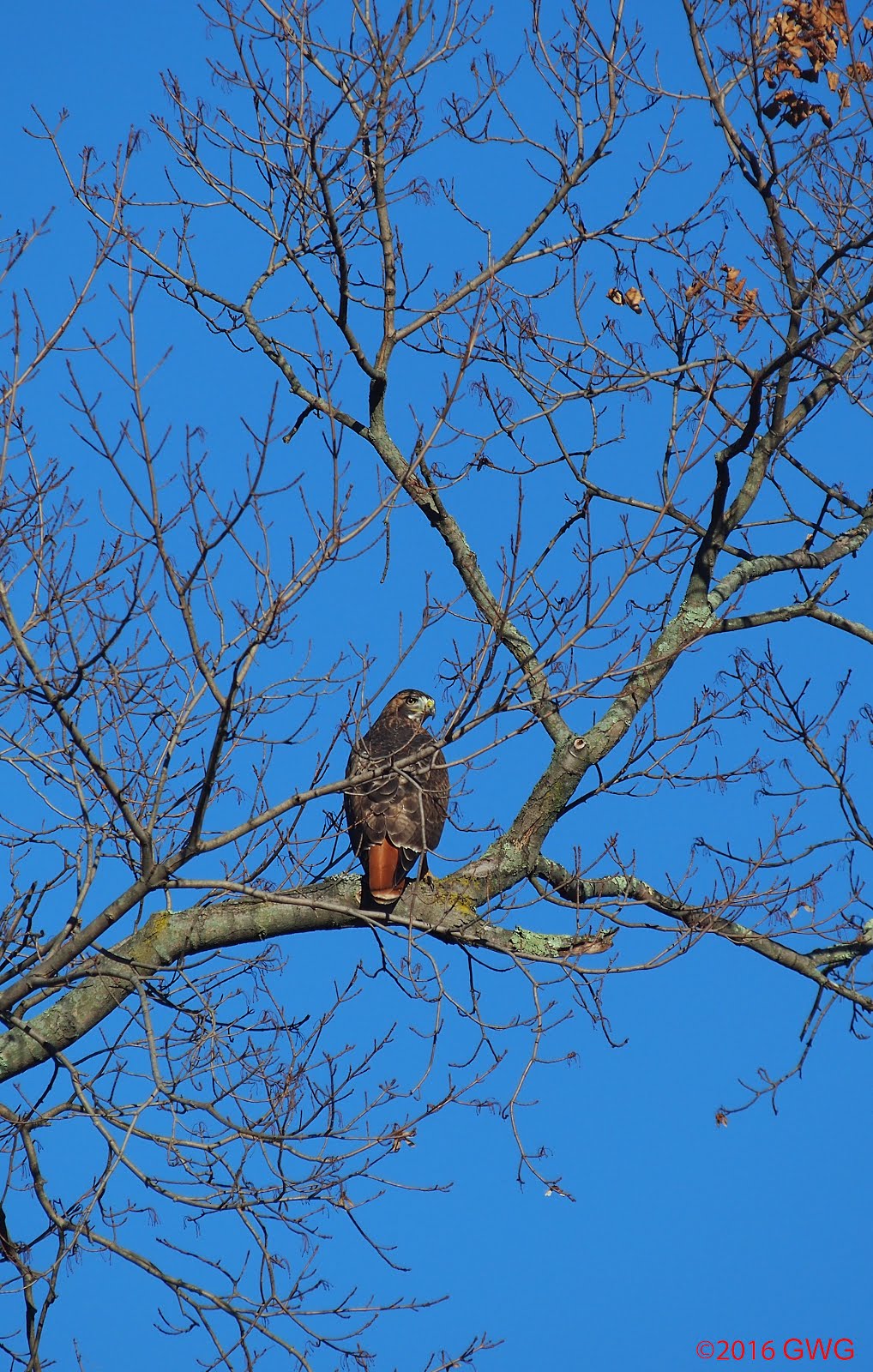 Gillette On Hillsborough: Duke Farms Autumn