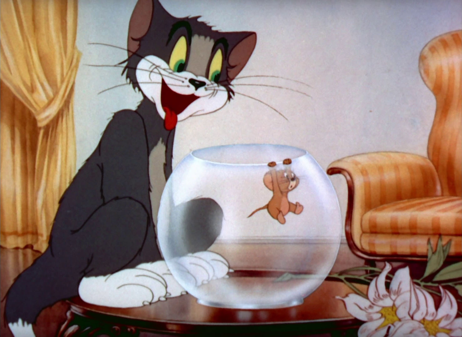 Tom & Jerry Pictures