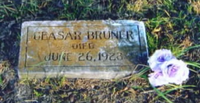 The African-Native American Genealogy Blog: Caesar Bruner - Seminole ...