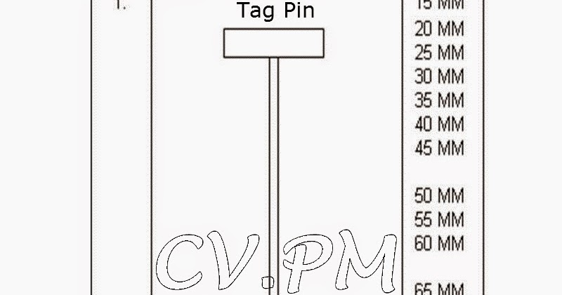 Menjual Semua Ukuran Panjang Tag Pin Standar