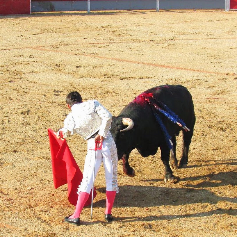 El Toro de Cenicientos: LA CAMARA DE JAVIER SALAMANCA EN CABANILLAS DEL ...