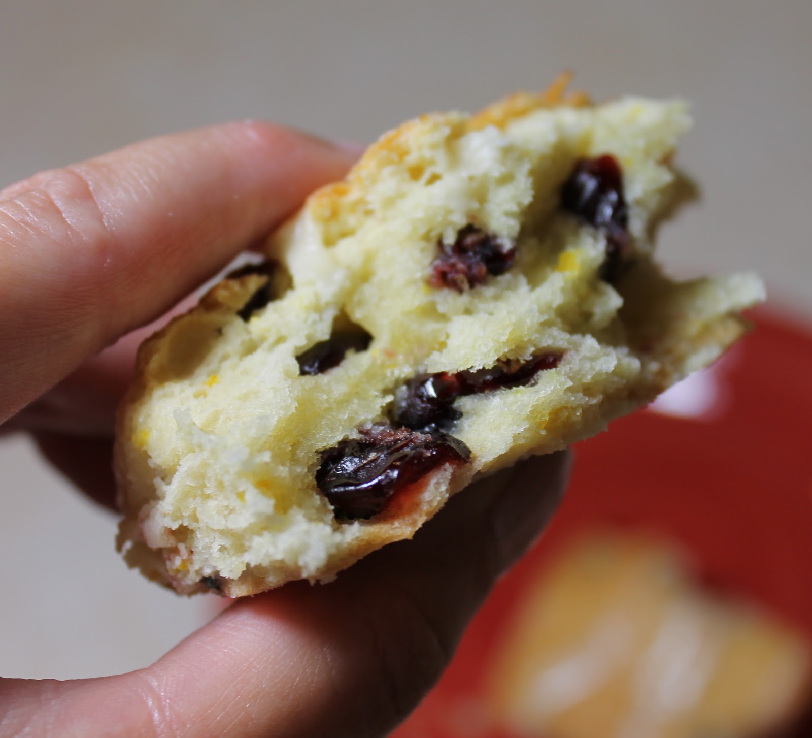 Cranberry Orange Scones