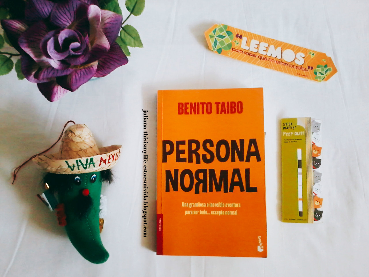 JULIANA: THIS IS MY LIFE. ESTA ES MI VIDA : FRASES "PERSONA NORMAL DE ...