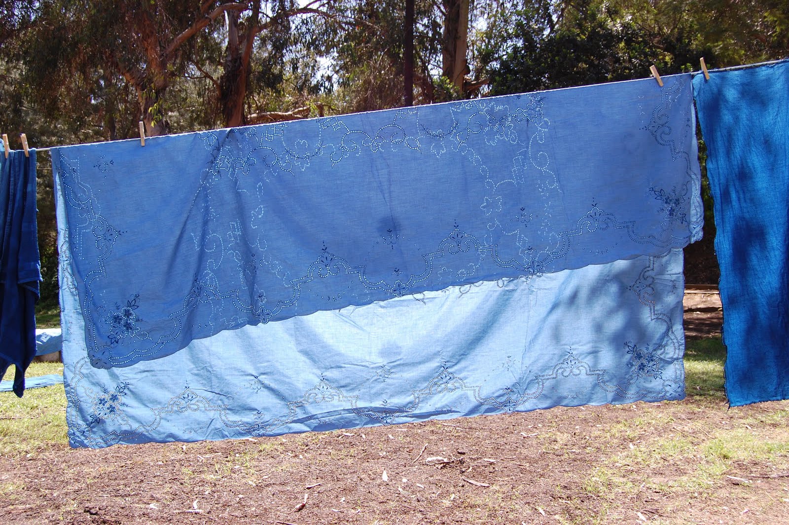 Natural Dyeing with Woad | Root Simple