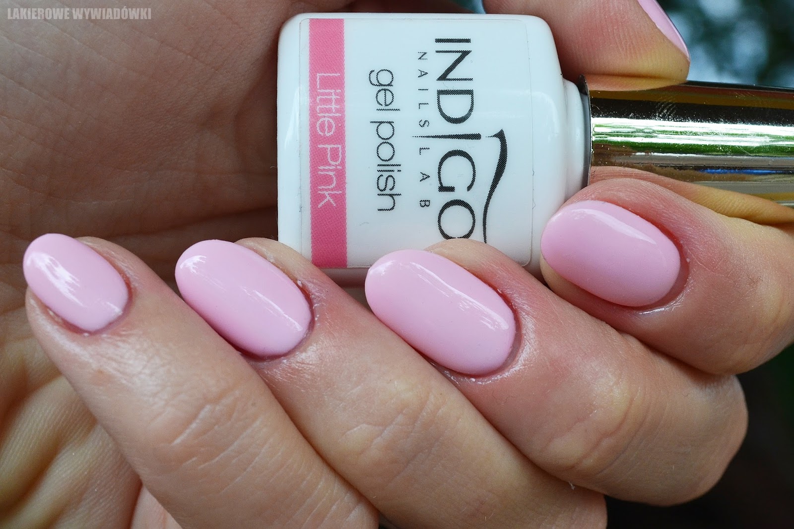 lakierowe wywiadówki: Indigo Nails gel polish - Little Pink