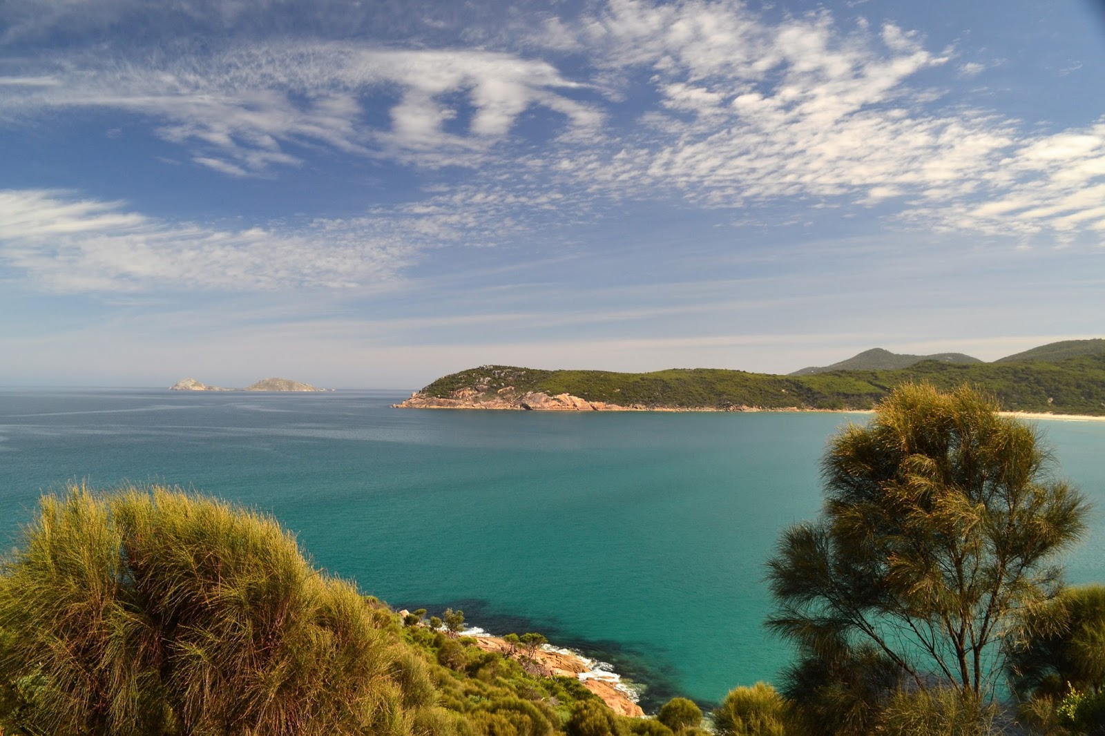 Goin' Feral One Day At A Time: Tidal River to Roaring Meg, Southern ...