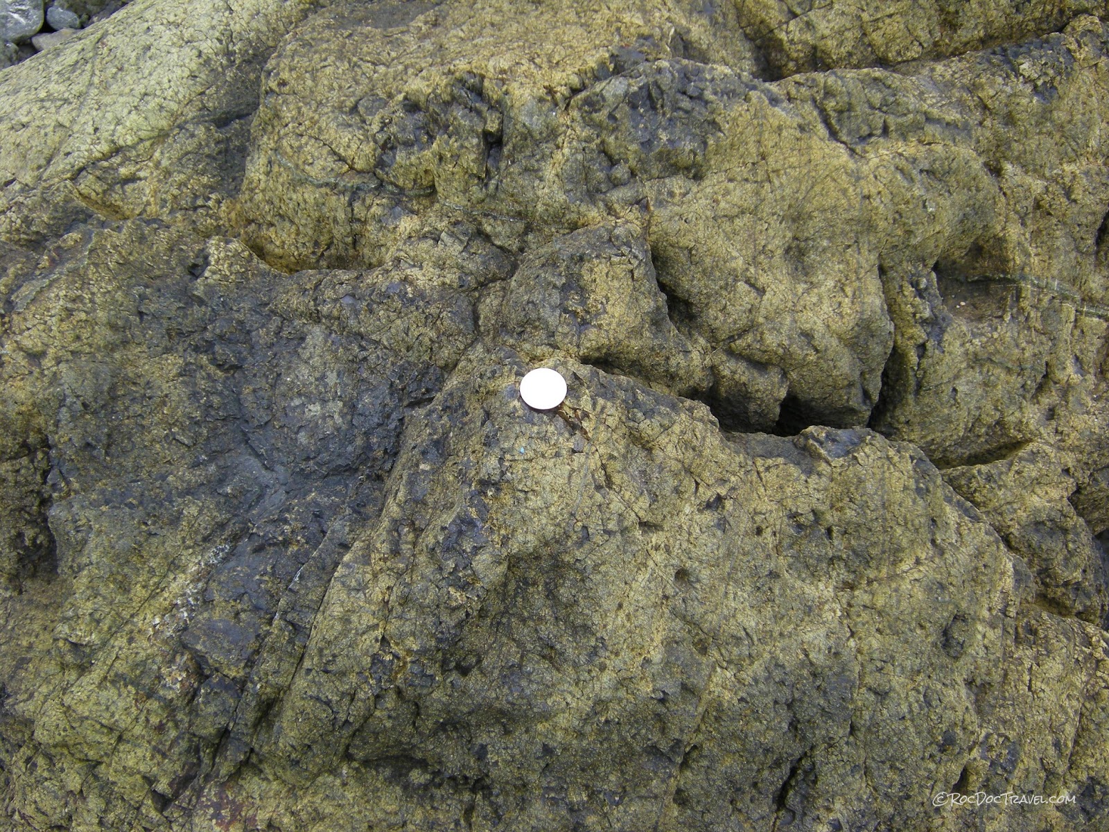 Northern California Coast 1