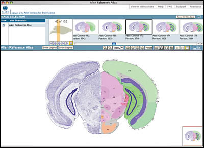 Sinapsis: marzo 2012