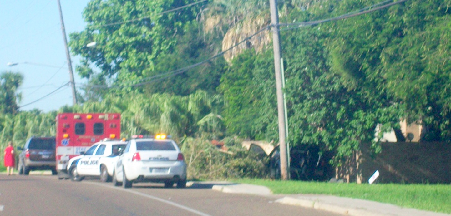 EL RRUN RRUN: RUNNING INTO PALM TREES NO WAY TO START DAY
