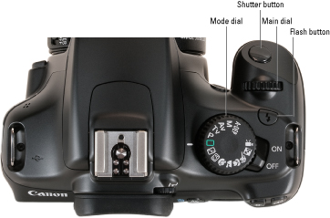 Andrea's Photojournalism Blog: The Camera (Canon Rebel T3)