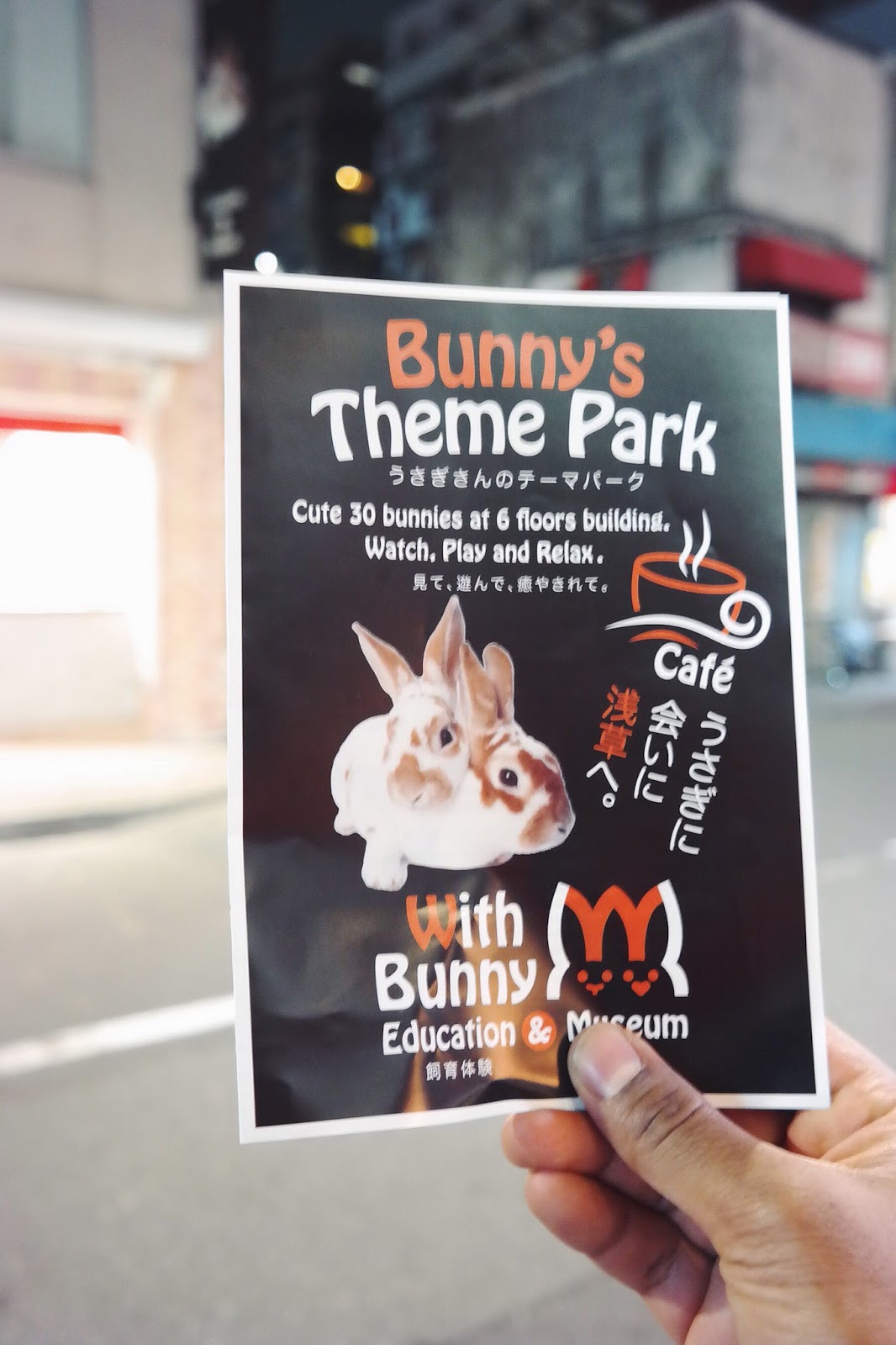 Bunny Cafe in Asakusa, Tokyo (Seriously, a cafe with loads of rabbits ...