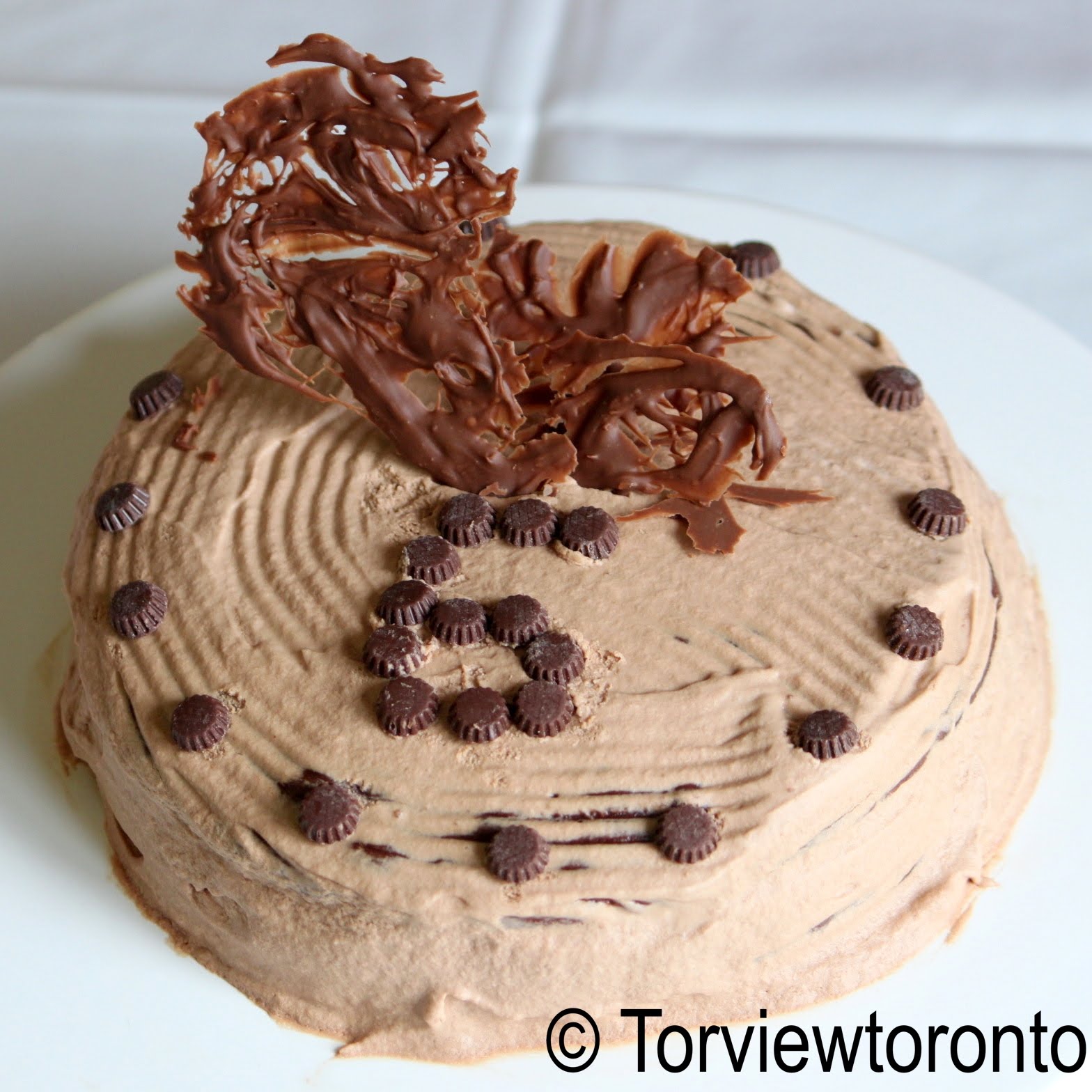 Torviewtoronto: Chocolate cake to celebrate
