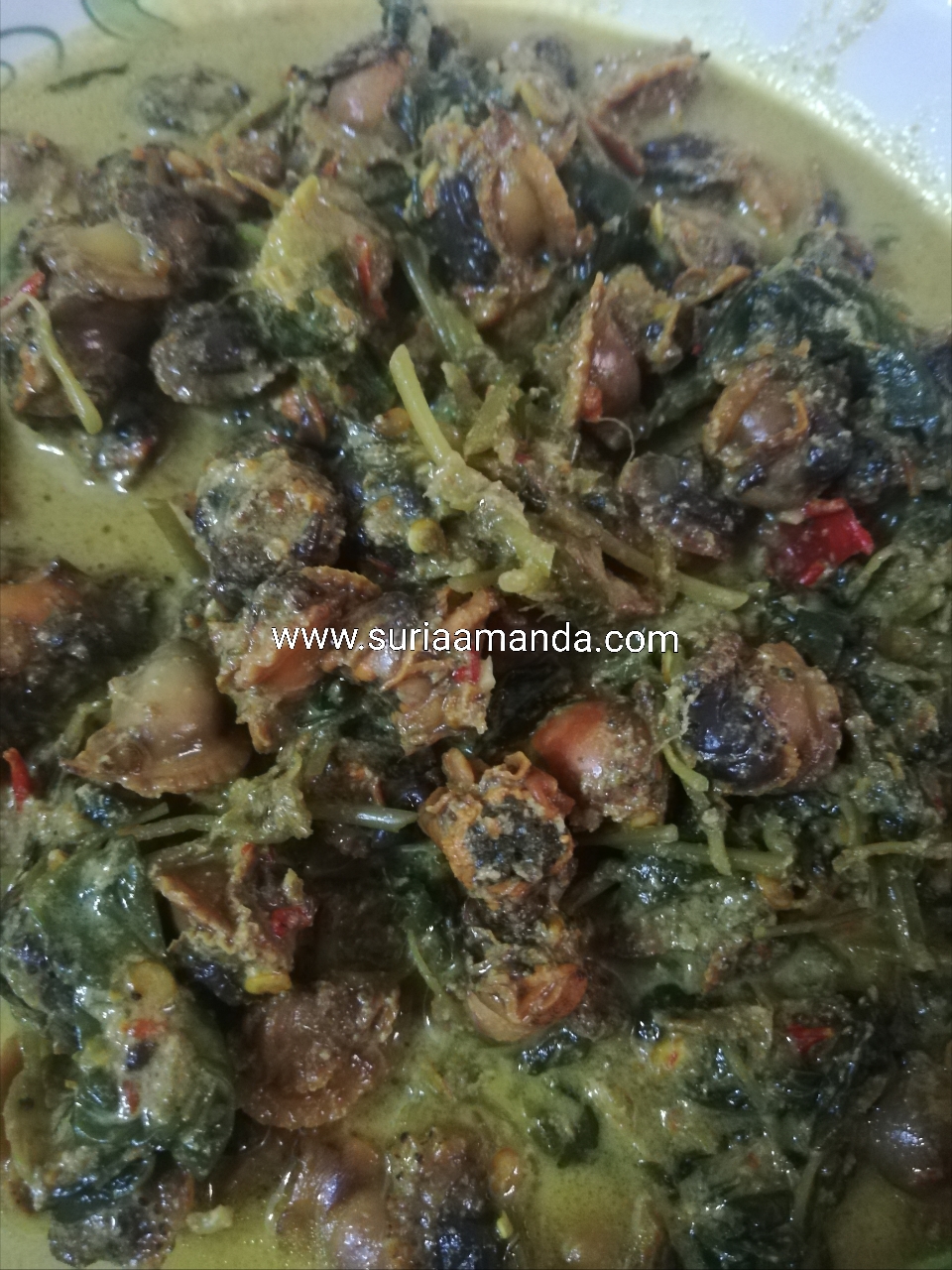 Masak Ape Tu? ~ SURIA AMANDA