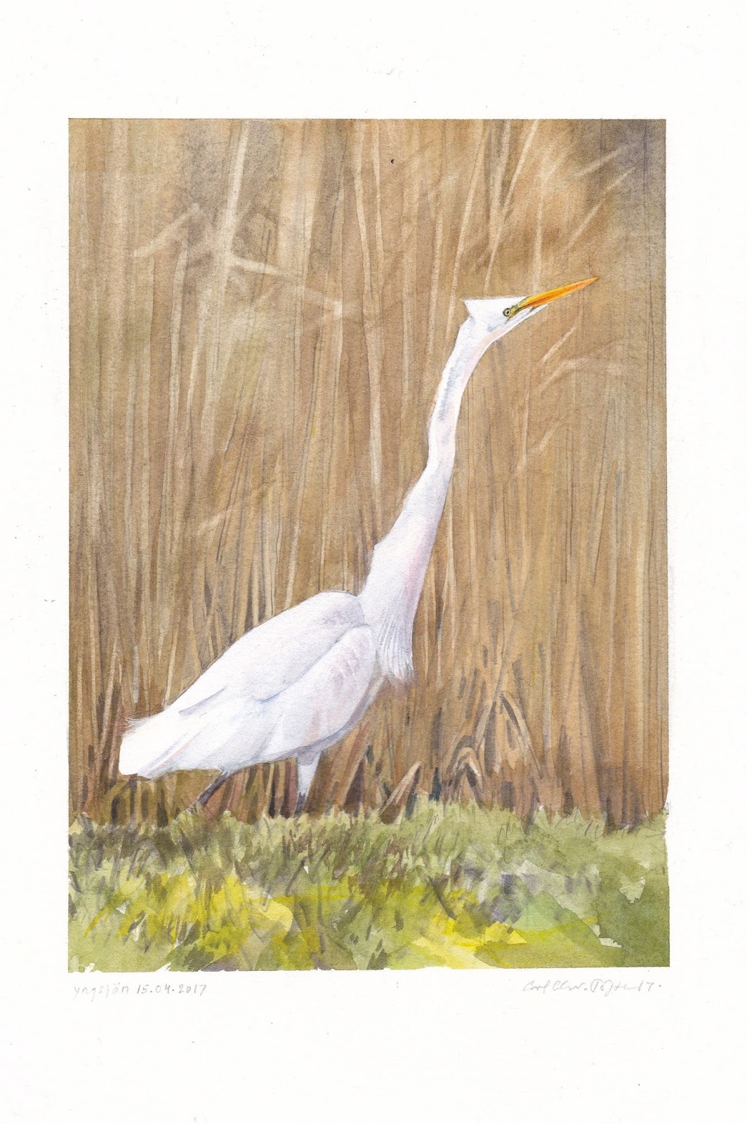 CARL CHRISTIAN TOFTE BLOG: PULKEN STYRE OG STYRE