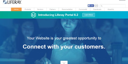 Top 24 Java-Based Content Management Systems
