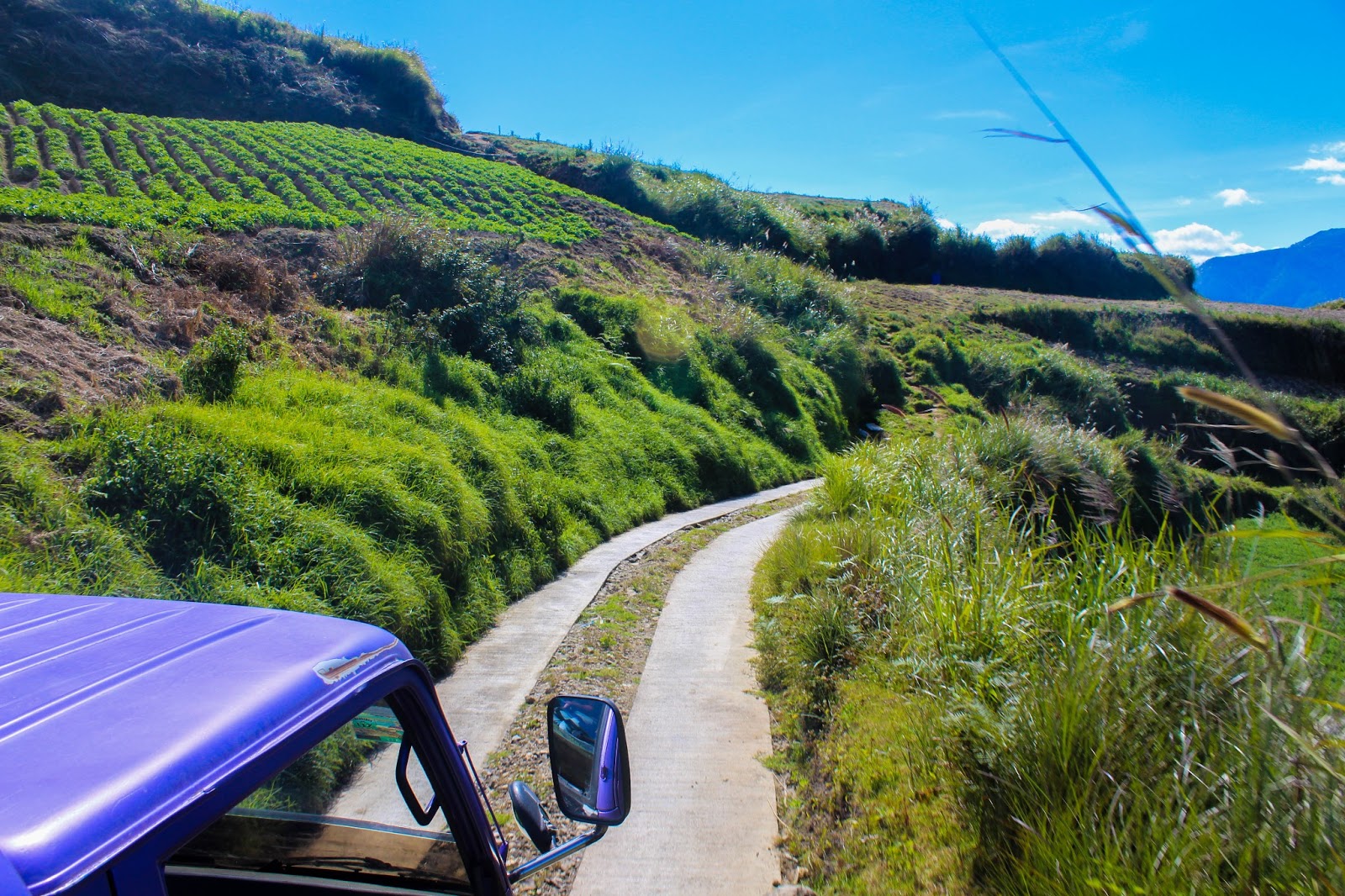 Baron the Explorer: Benguet’s Highest Peak : Mt. Timbak and Mt. Tabayoc