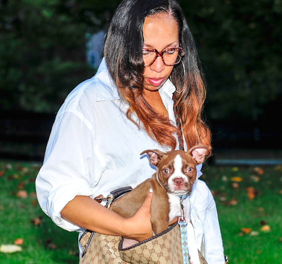 Fancy Curves: "The Basics"