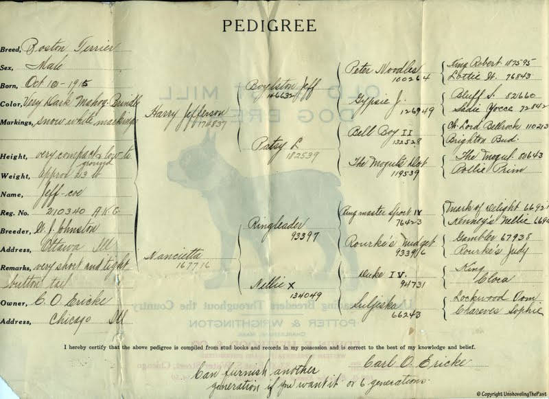 Unshoveling the Past: A Dog Named Jeff