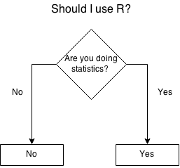 Shifting sands: Adopting R for experienced developers
