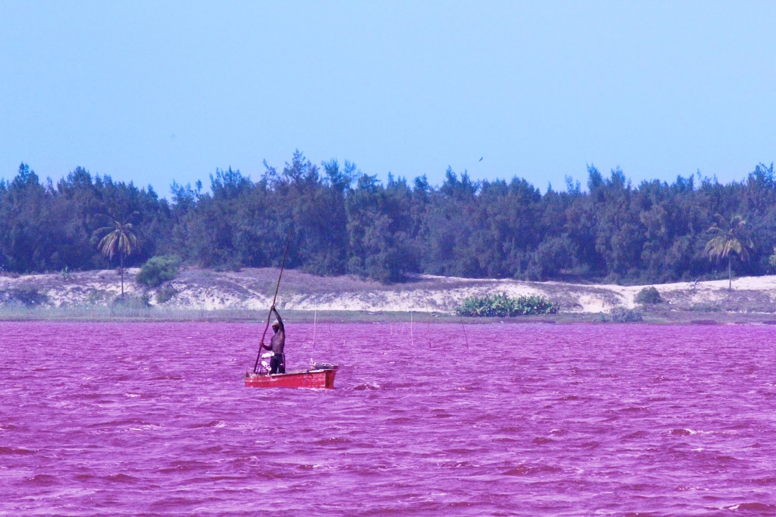 Visitar o LAGO ROSA no deserto do Senegal e ver os pescadores ...