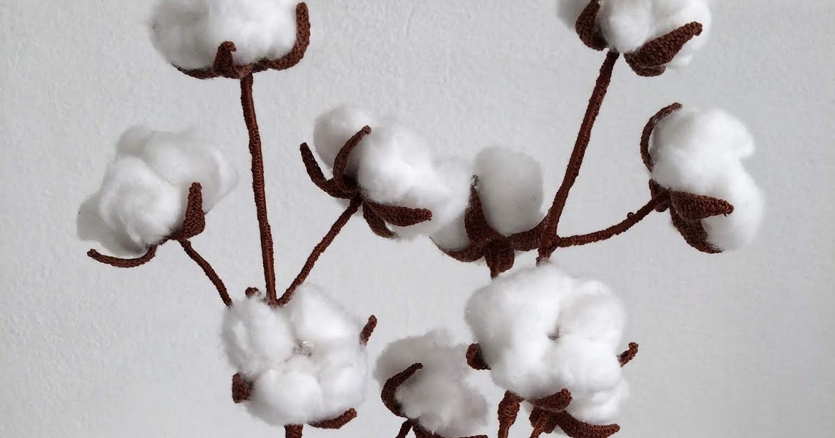 Spiegazione della pianta del Cotone all'uncinetto