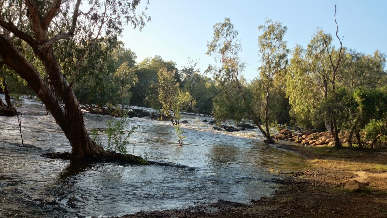 Cooper's Cape York Adventures 2014: Day 6 Cooktown to Kalpowar Crossing ...