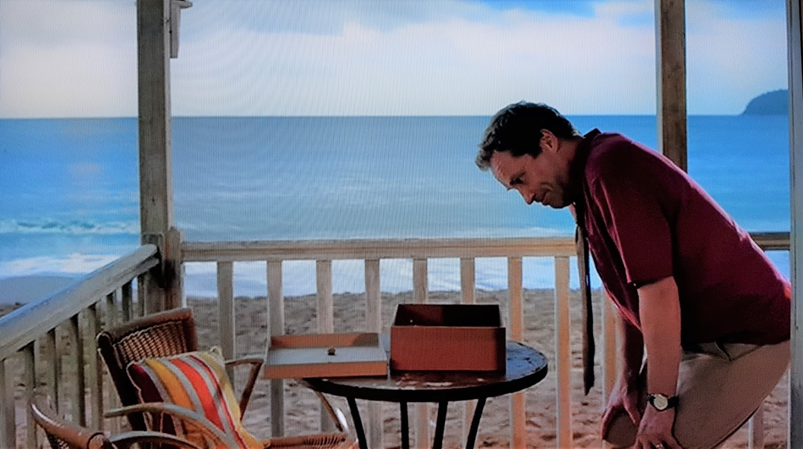 Lucy Melford: Harry the lizard