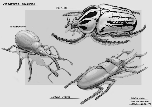 Andrea Susini works: insect sketches